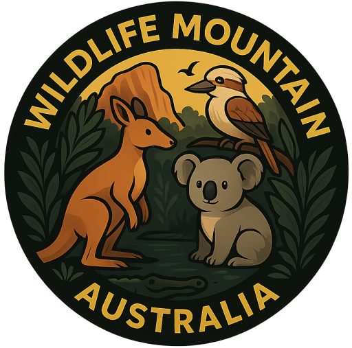 WOMA PYTHON – Wildlife Mountain Australia